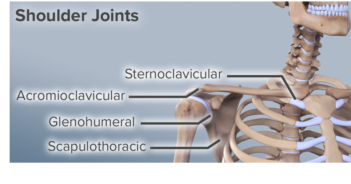 Shoulder injury treatment in Brookvale - Contemporary Healthcare
